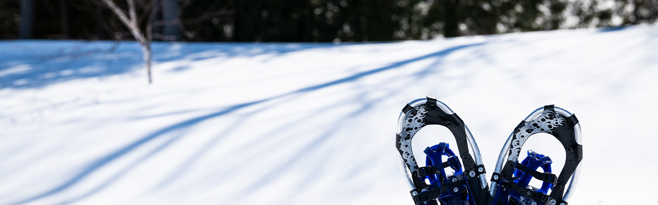 Rowleys Bay, WI - Discover | Destination Door County