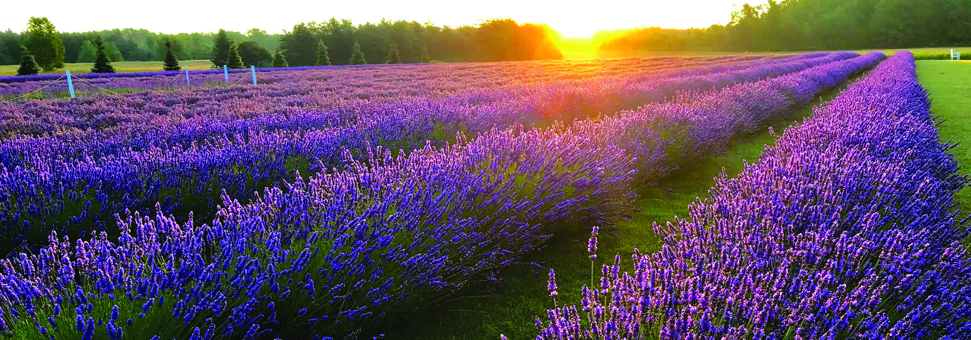 A Guide to Visiting Washington Island | Destination Door County