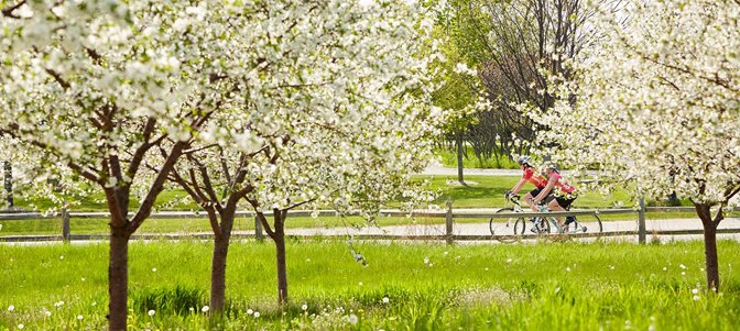 Niagara Escarpment - Virtual Experiences | Destination Door County