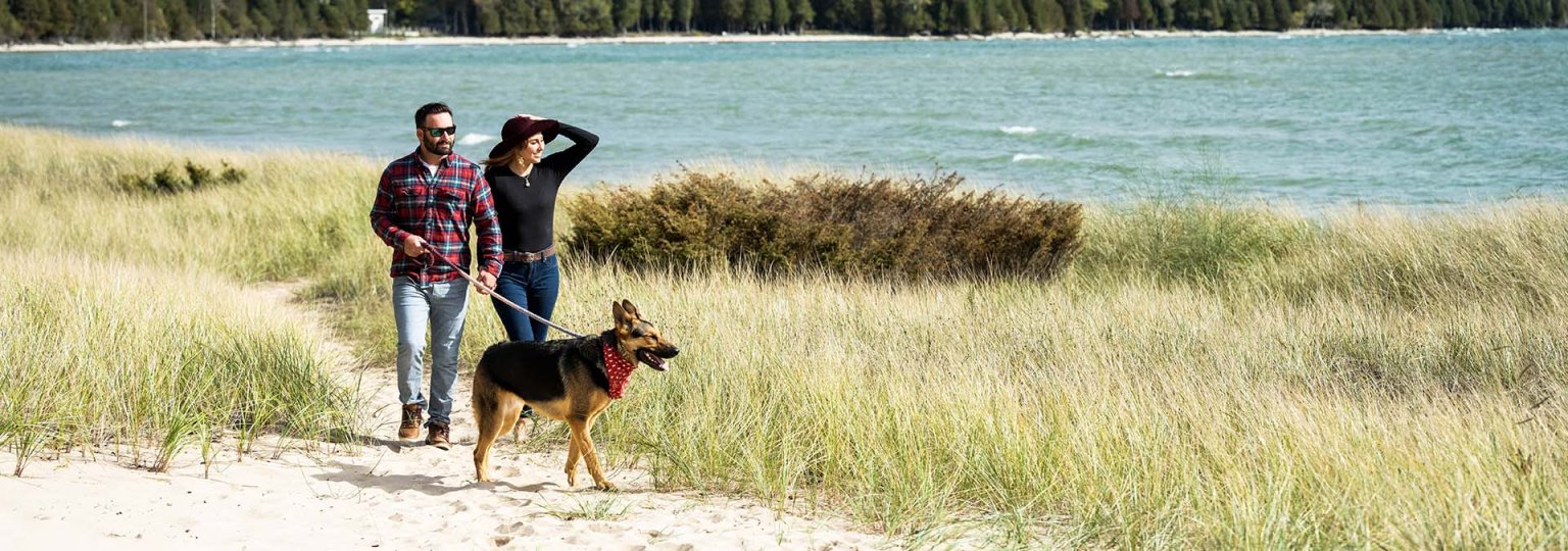 Traveling with Dogs to Door County | Destination Door County