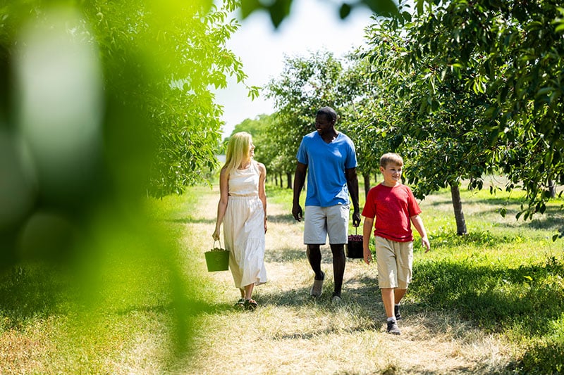 50 Must-Dos for Summer in Door County | Destination Door County